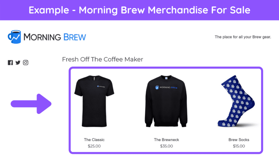 How to Monetize Your Newsletter - Blogging Guide