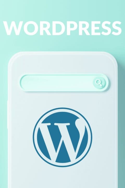 Best Paid Newsletter Platforms - Blogging Guide