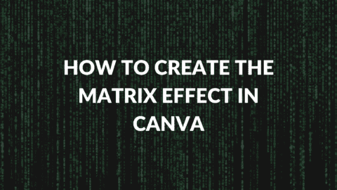 How to Create The Matrix Effect in Canva - Blogging Guide