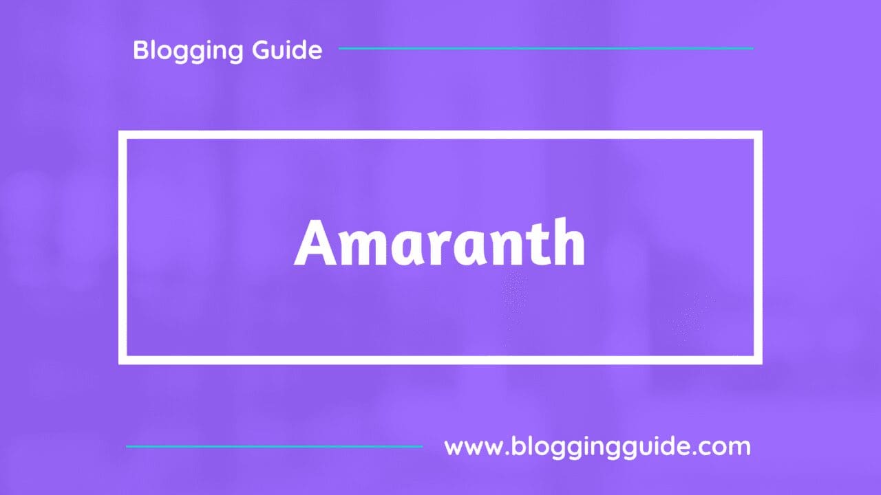 Fonts Available in Squarespace and Canva - Blogging Guide