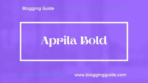 Best Bold Fonts in Canva - Blogging Guide