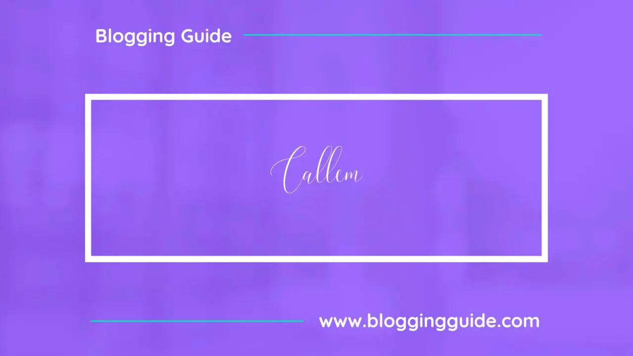 Best Calligraphy Fonts in Canva - Blogging Guide