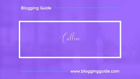 Best Calligraphy Fonts in Canva - Blogging Guide