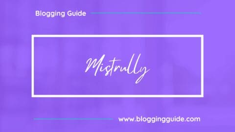 Best Calligraphy Fonts in Canva - Blogging Guide