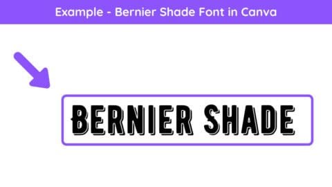 The Best Retro Fonts on Canva - Blogging Guide