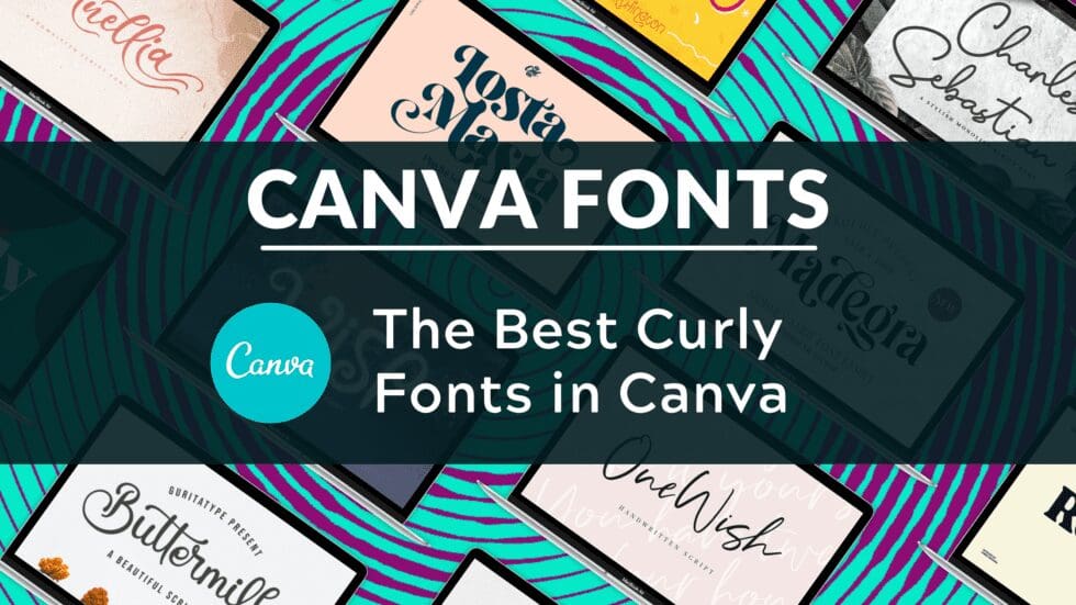 Best Curly Fonts in Canva - Blogging Guide