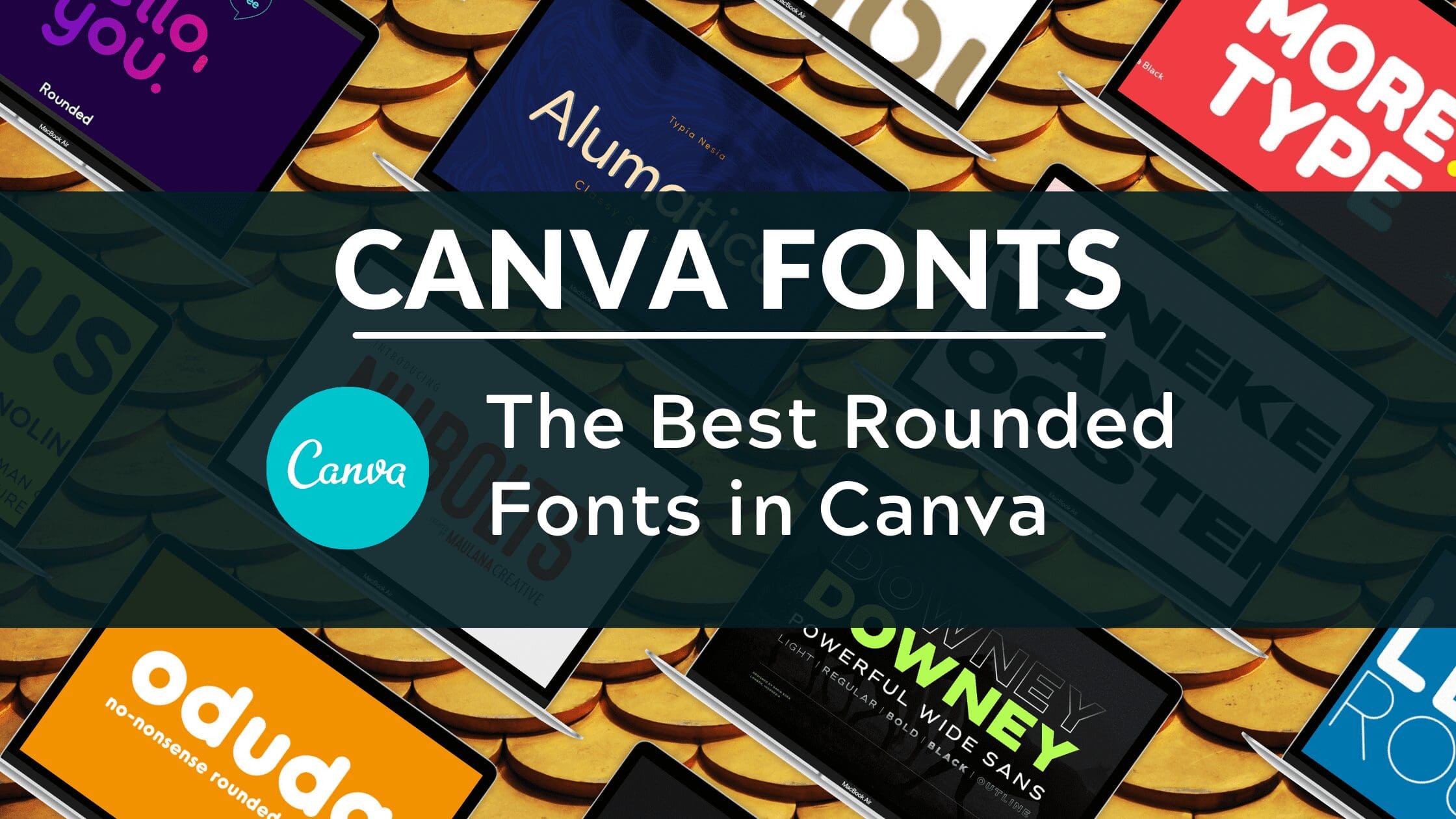 Best Rounded Fonts In Canva Blogging Guide