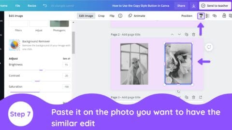 How to Use the Copy Style Button in Canva (Paint Brush) - Blogging Guide