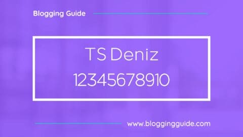 Best Fonts for Numbers in Canva - Blogging Guide
