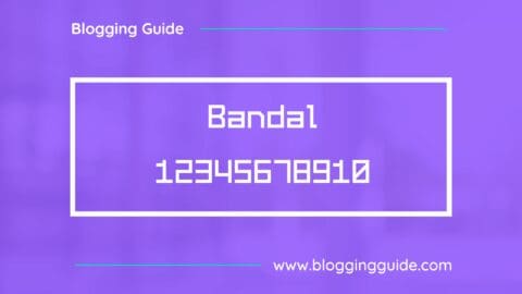 Best Fonts for Numbers in Canva - Blogging Guide