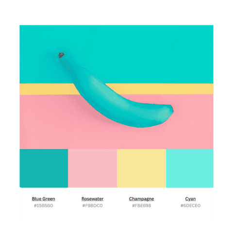 Canva Color Palettes - Blogging Guide