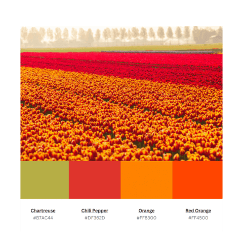 Canva Color Palettes - Blogging Guide