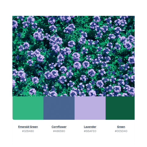 Canva Color Palettes - Blogging Guide