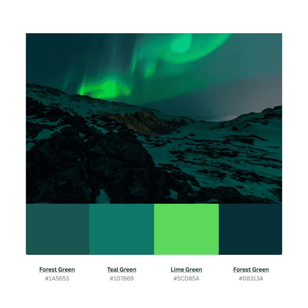 Canva Color Palettes - Blogging Guide