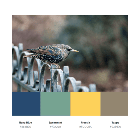 Canva Color Palettes - Blogging Guide