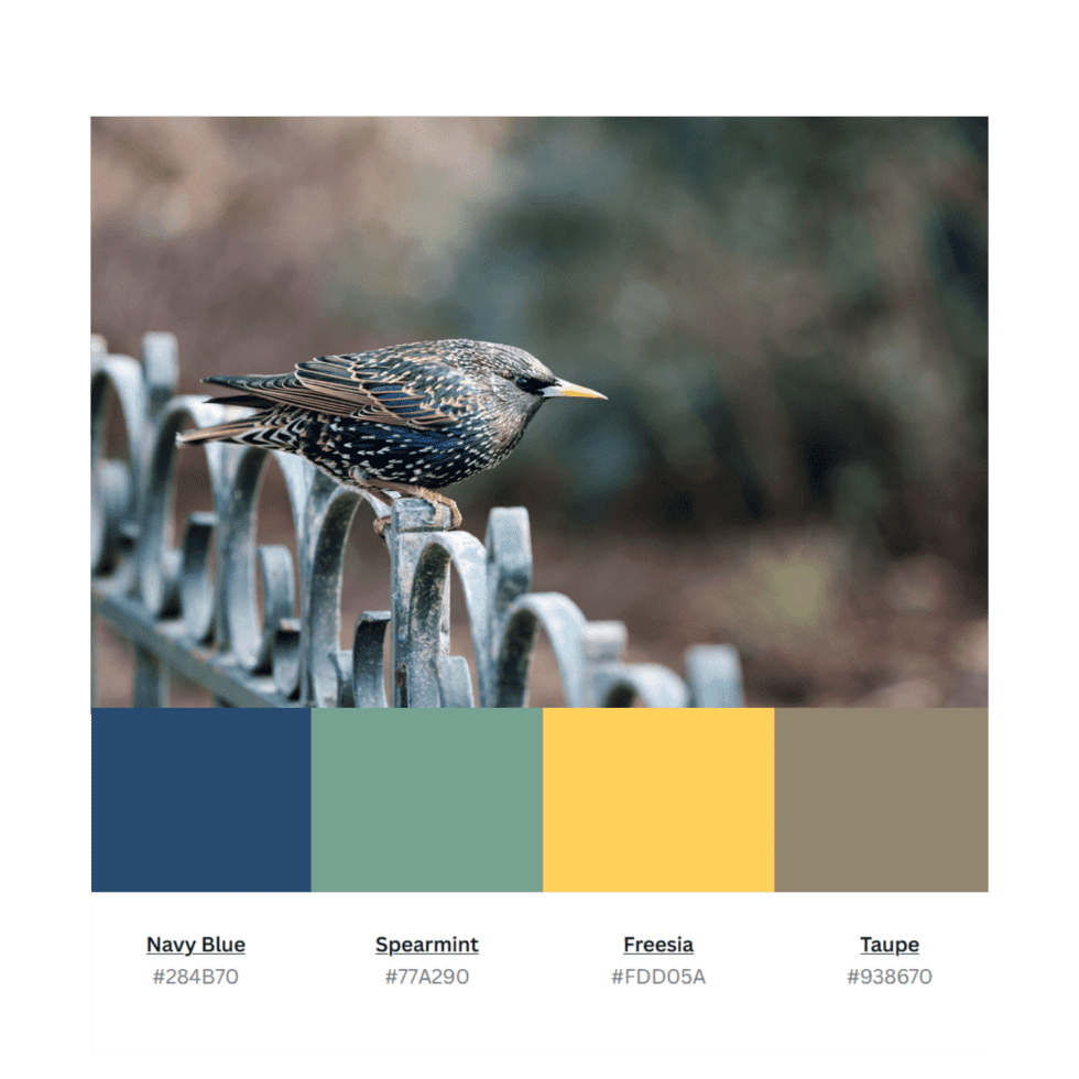 Canva Color Palettes - Blogging Guide