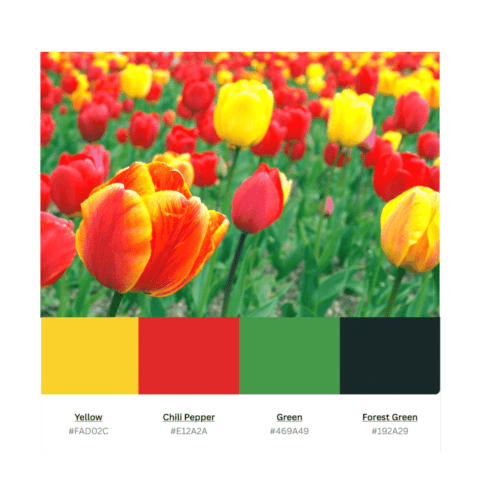 Canva Color Palettes - Blogging Guide