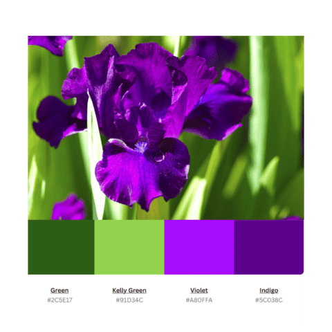 Canva Color Palettes - Blogging Guide