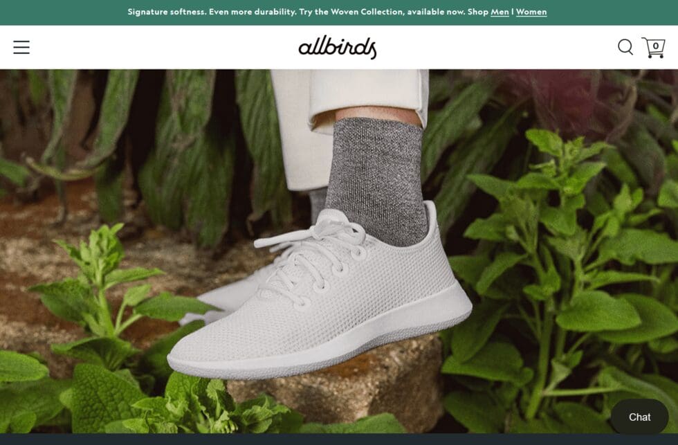 Amazing Shopify Store Examples - Blogging Guide