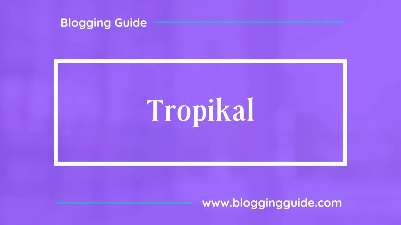 Best Canva Fonts for Posters - Blogging Guide