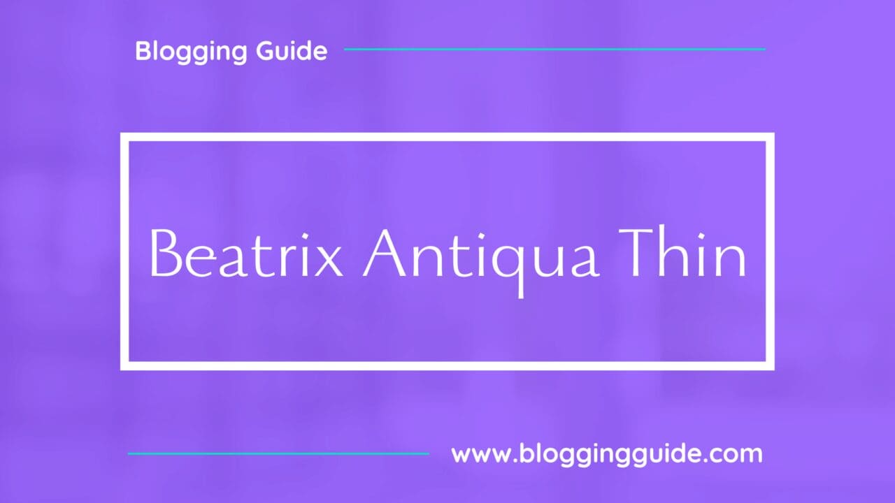 Best Feminine Fonts in Canva - Blogging Guide