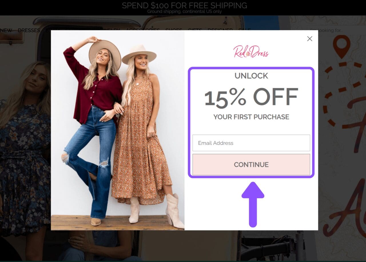 Amazing Shopify Store Examples - Blogging Guide