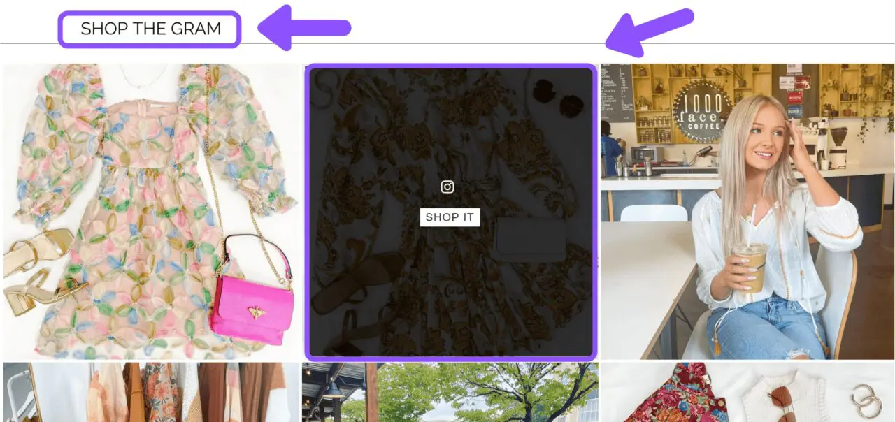 Amazing Shopify Store Examples - Blogging Guide