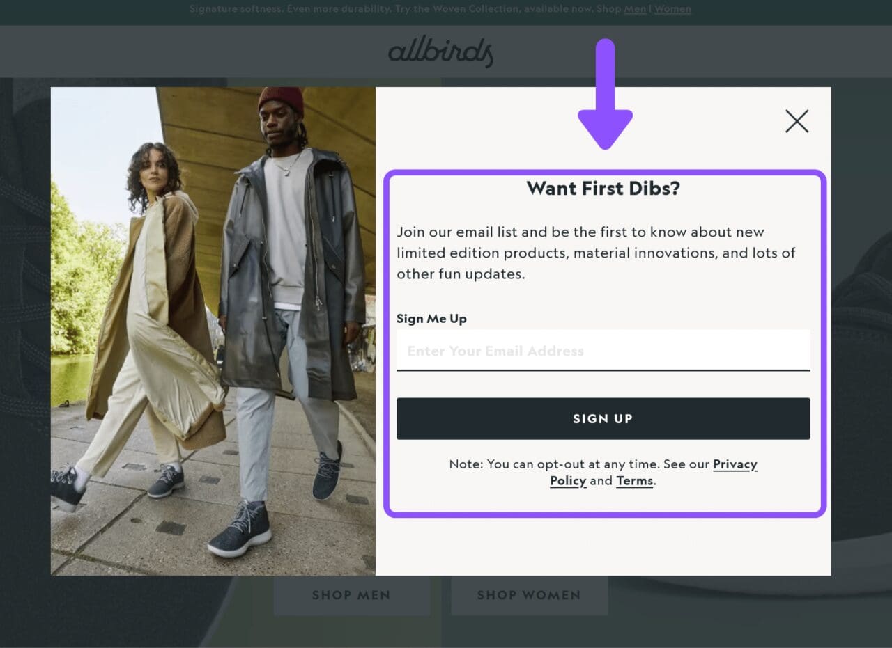 Amazing Shopify Store Examples - Blogging Guide