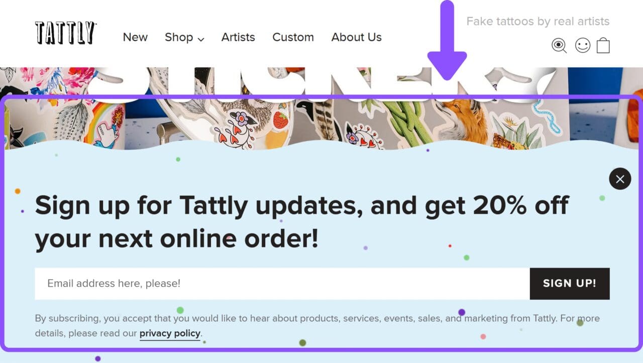 Amazing Shopify Store Examples - Blogging Guide