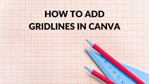 How to Add Gridlines in Canva - Blogging Guide