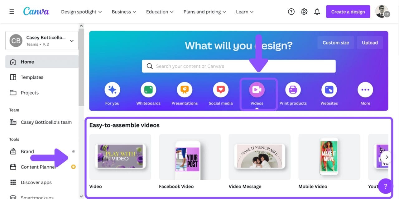 How to Remove Video Background in Canva - Blogging Guide