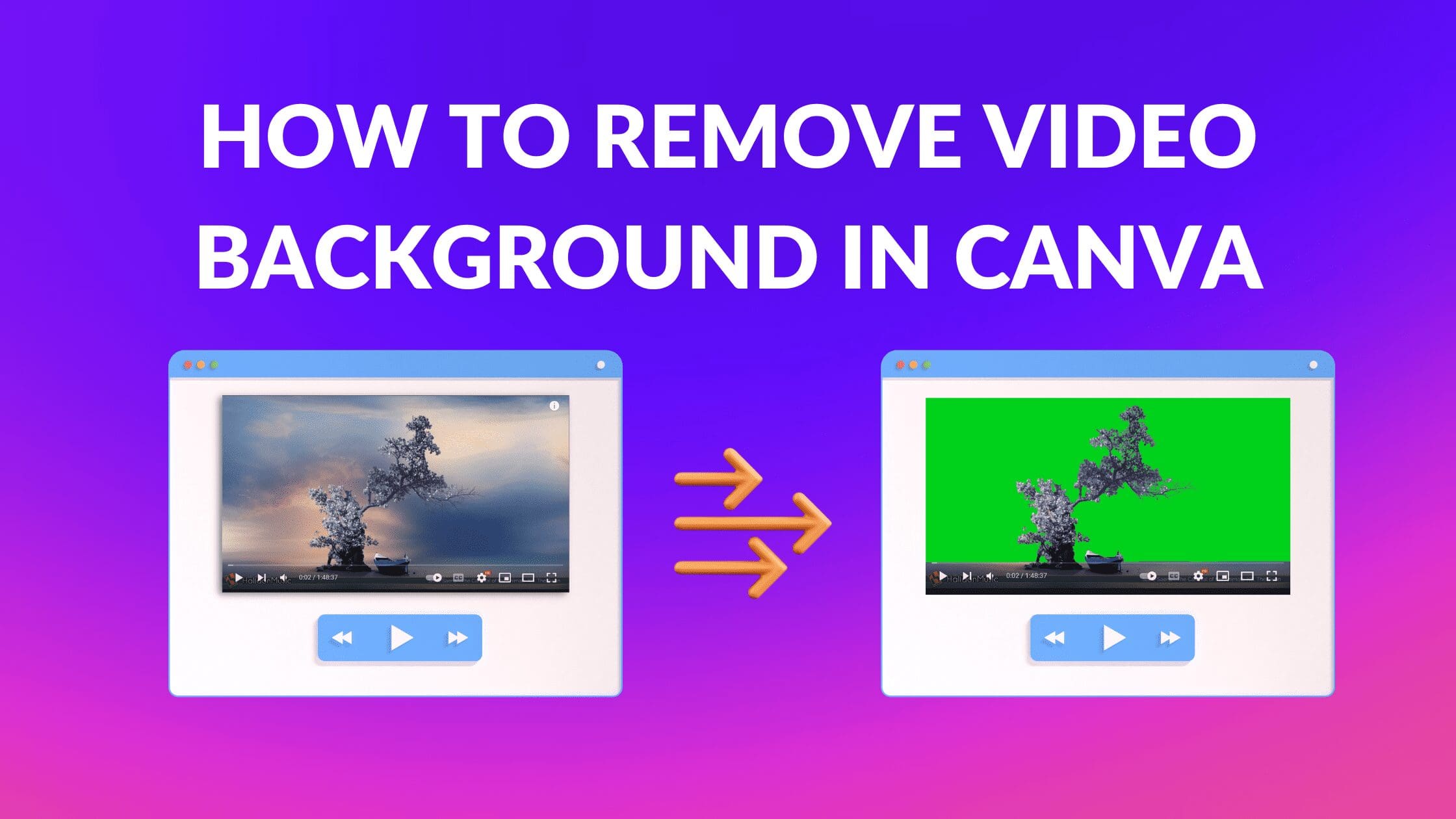 How To Remove Video Background In Canva Blogging Guide