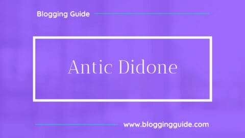 Best Canva Aesthetic Fonts - Blogging Guide