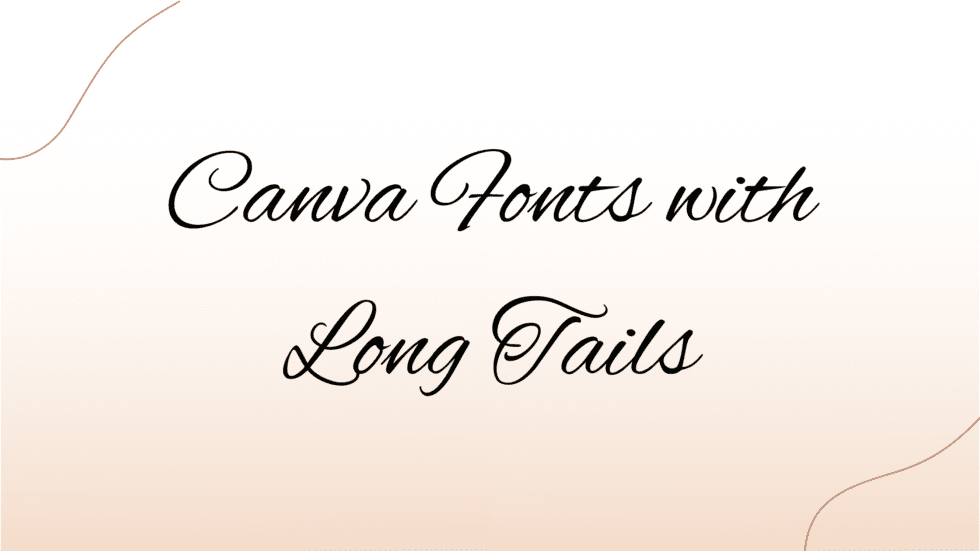Best Canva Fonts with Long Tails - Blogging Guide