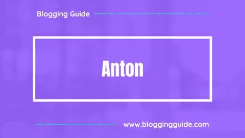 Best Meme Fonts in Canva - Blogging Guide