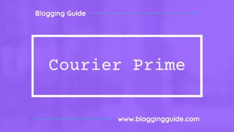 Best Meme Fonts in Canva - Blogging Guide