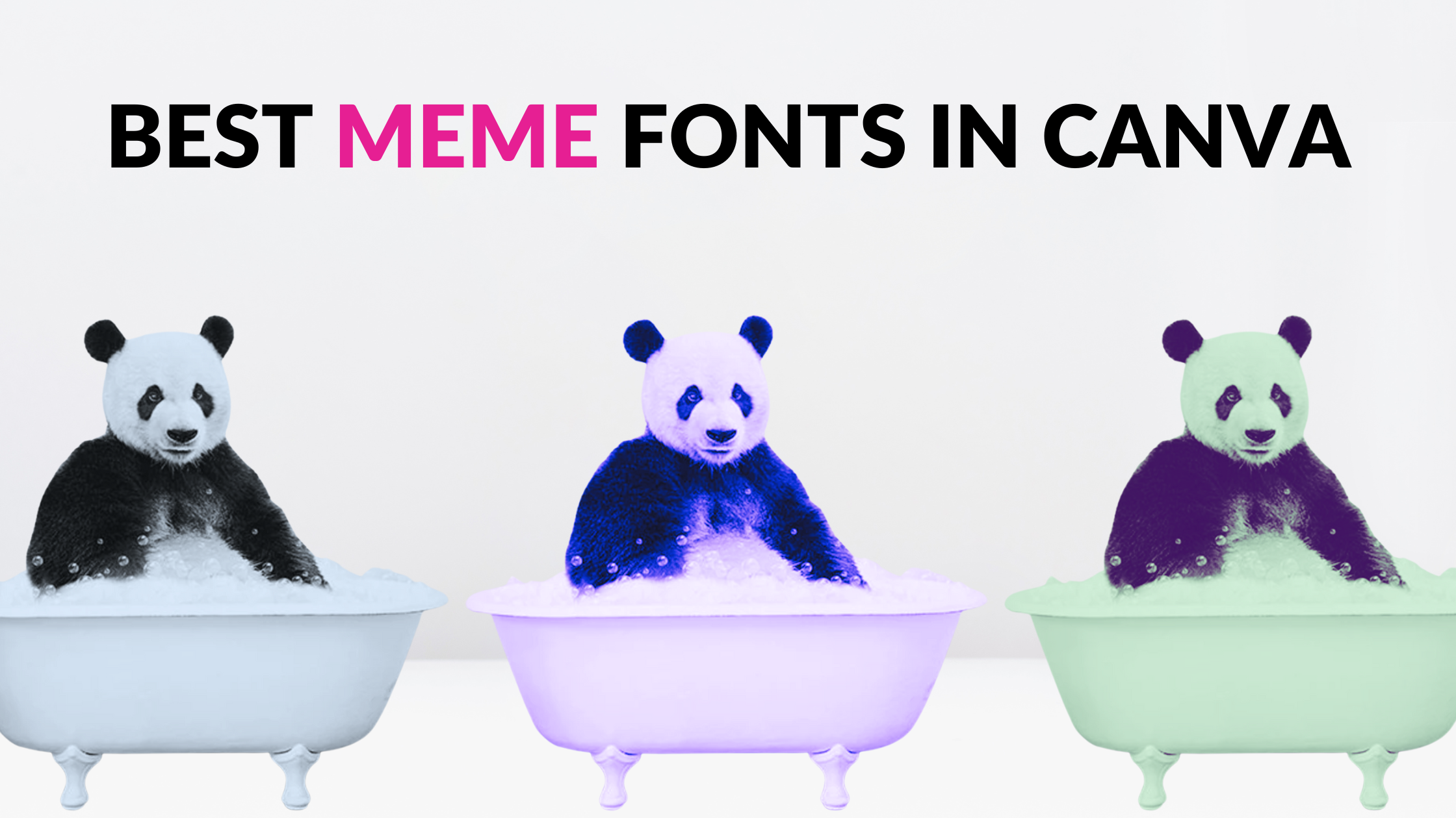 Best Meme Fonts in Canva - Blogging Guide