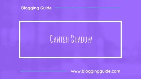 Best Shadow Fonts in Canva - Blogging Guide