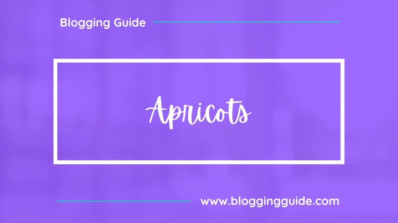 Best Cursive Fonts in Word - Blogging Guide