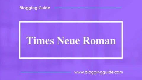 Best Blog Fonts (Best Fonts to Use for Your Blog) - Blogging Guide