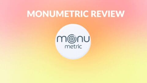 Monumetric Review (RPM, Requirements, Earning Potential) - Blogging Guide