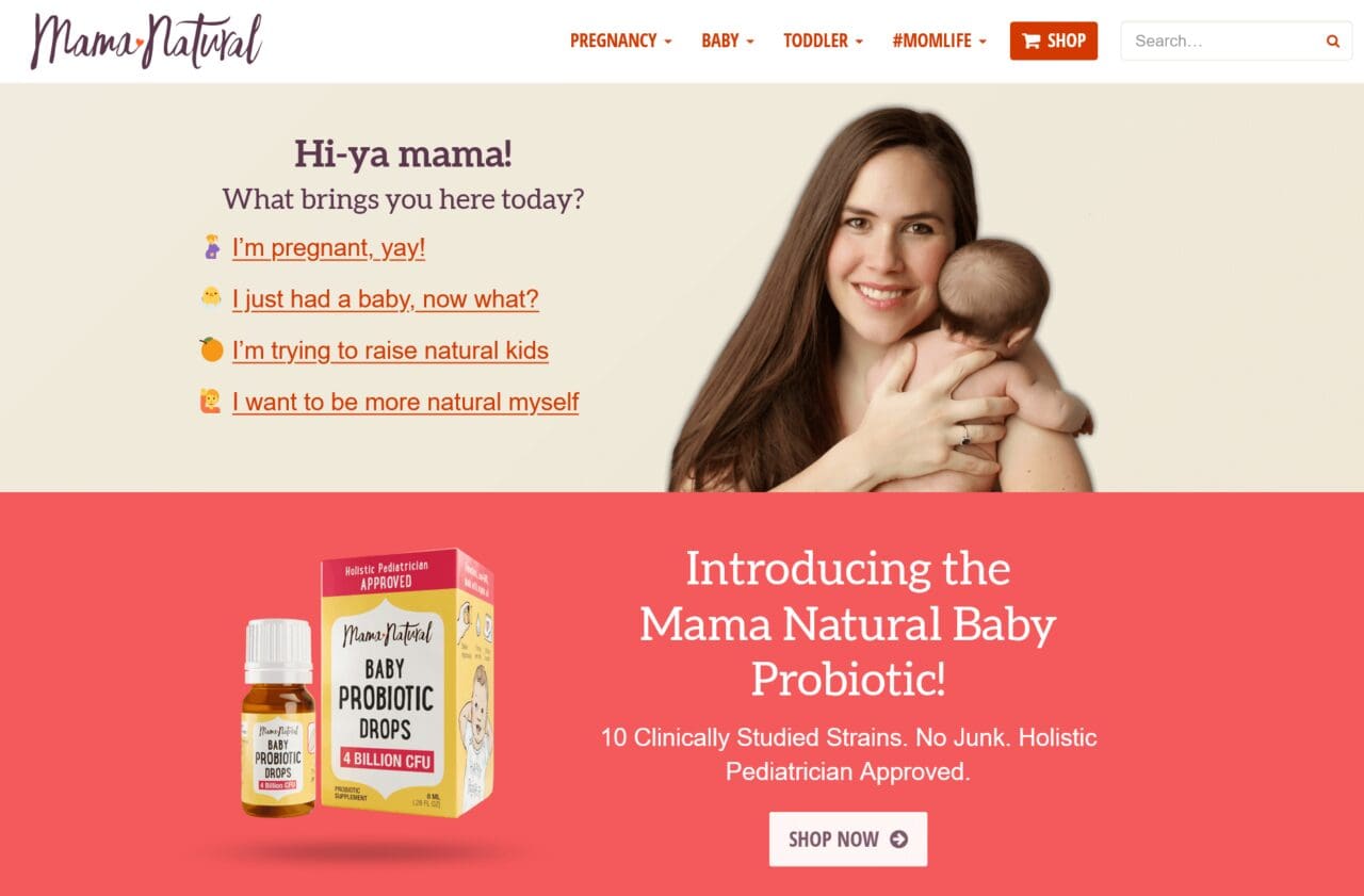 Best Mom Blog Examples - Blogging Guide