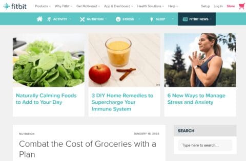 Best Health and Fitness Blog Examples - Blogging Guide