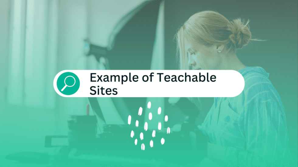 Examples of Amazing Teachable Sites - Blogging Guide